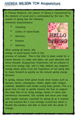 Acupuncture/ Chinese Medicine – RISE BC